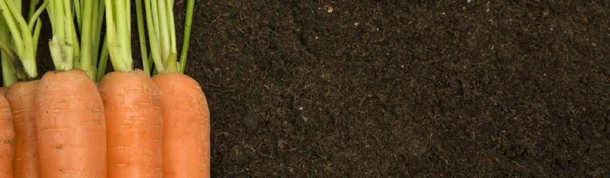 Quality Compost Suppliers - John Innes compost and more.